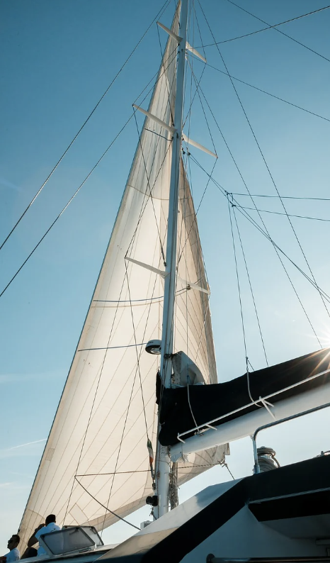 Cruising – LION SAILING