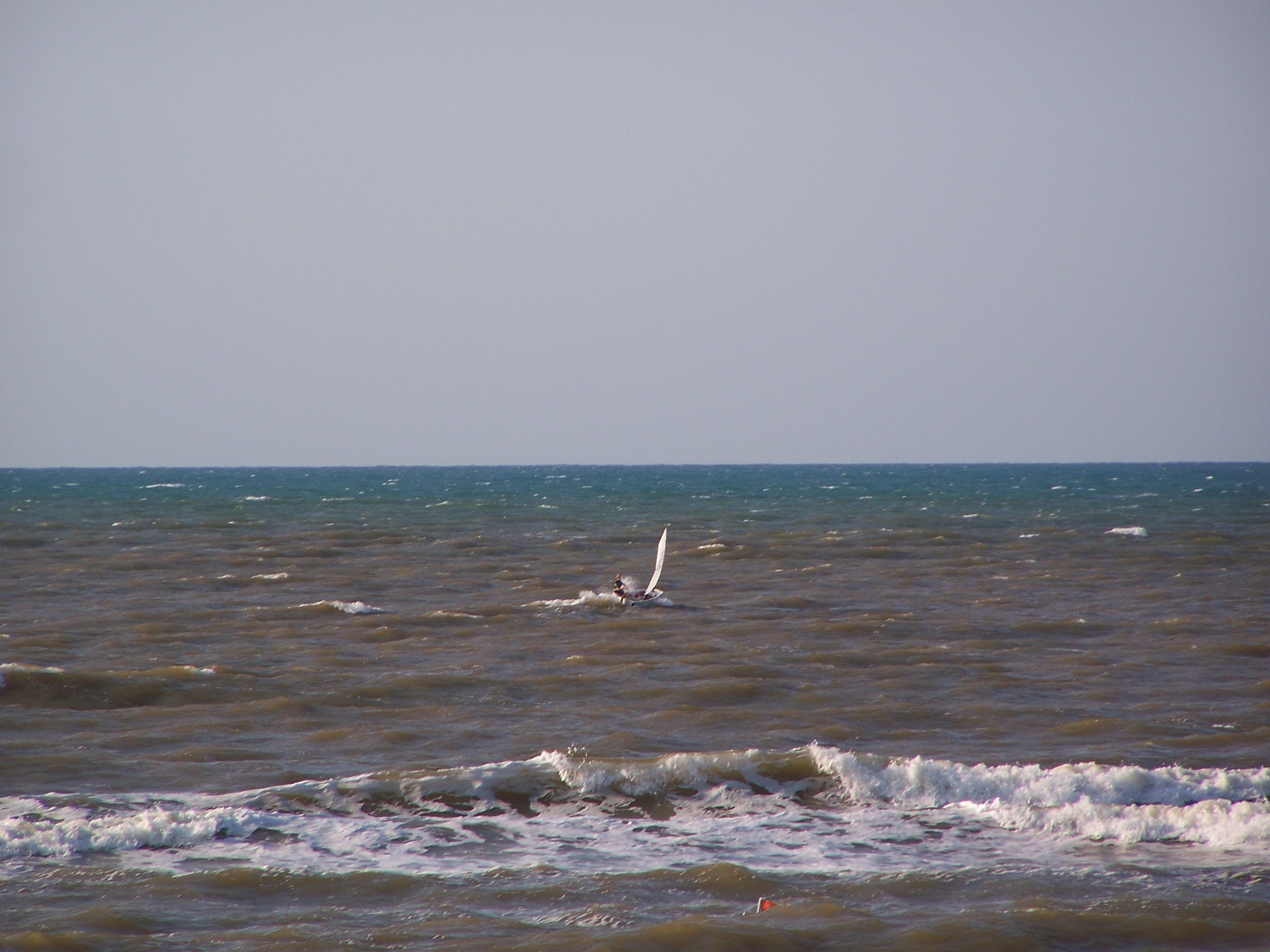 Opti – LION SAILING